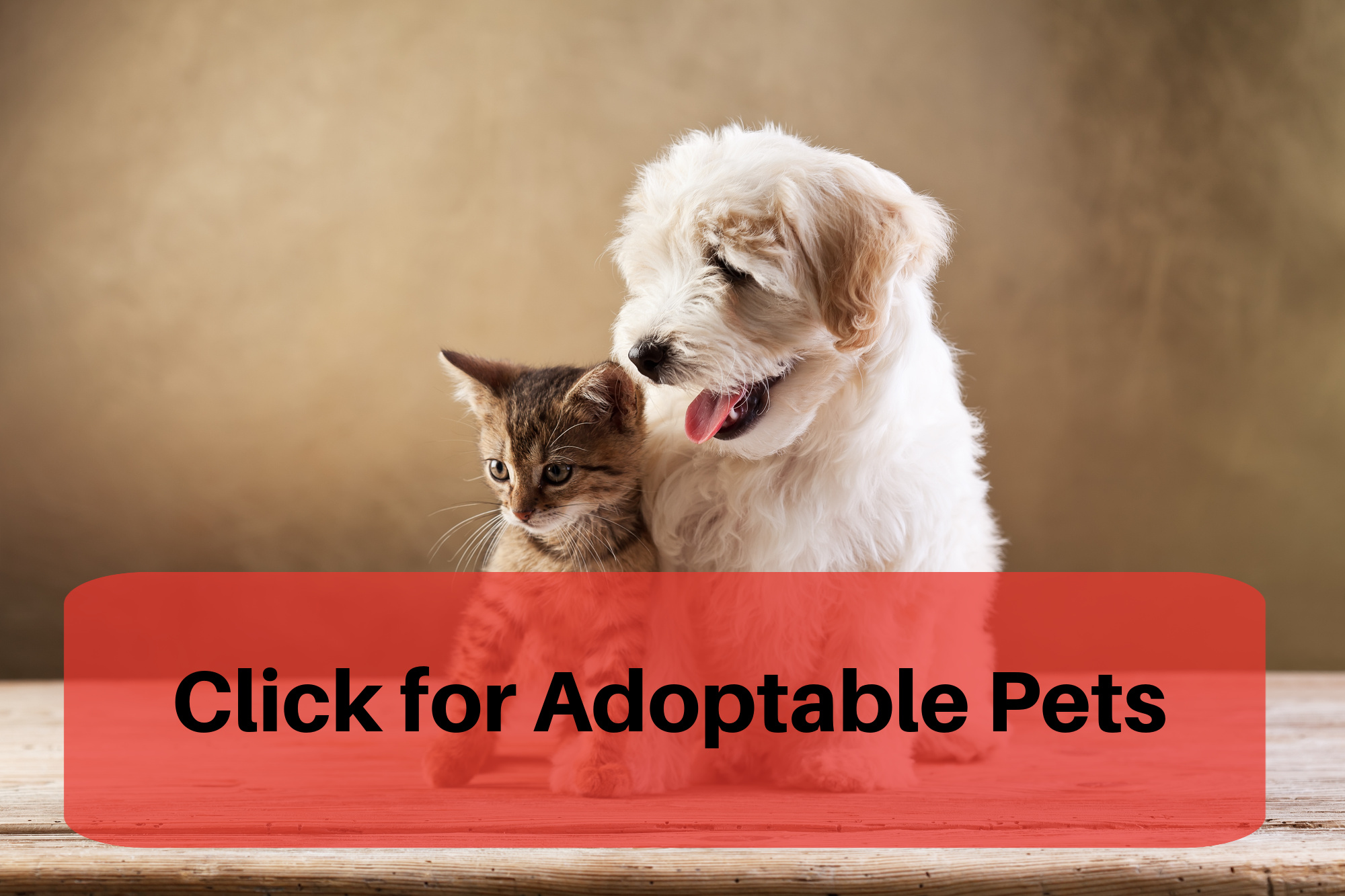 Welcome to Pawesome Village Rescue! - Pawesome Village Rescue