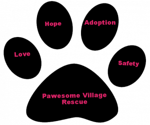Welcome to Pawesome Village Rescue! - Pawesome Village Rescue